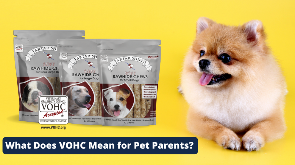 What Does VOHC Mean for Pet Parents? | Tartar Shield