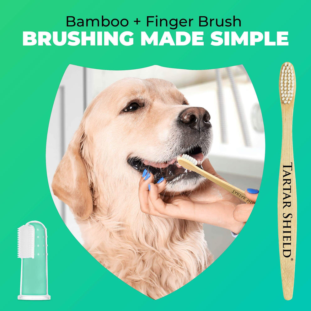 Tartar Shield® PRO CARE Toothpaste Kit for Dogs & Cats | Tartar Shield