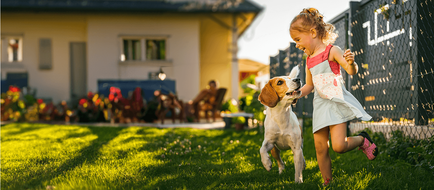Tartar Shield | Cleaner, Healthier Teeth for Healthier, Happier Pets ...