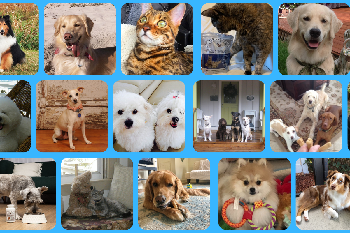 Join The Pack | Get Exclusive Coupons, News, Updates & More | Tartar Shield