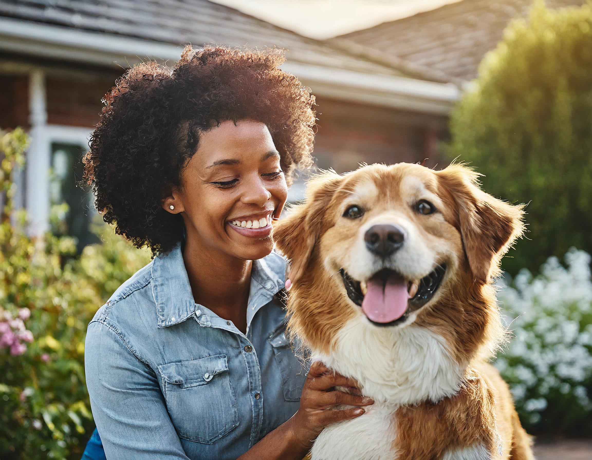 Tartar Shield Blog | Pet Dental, Health and Lifestyle For Pet Parents