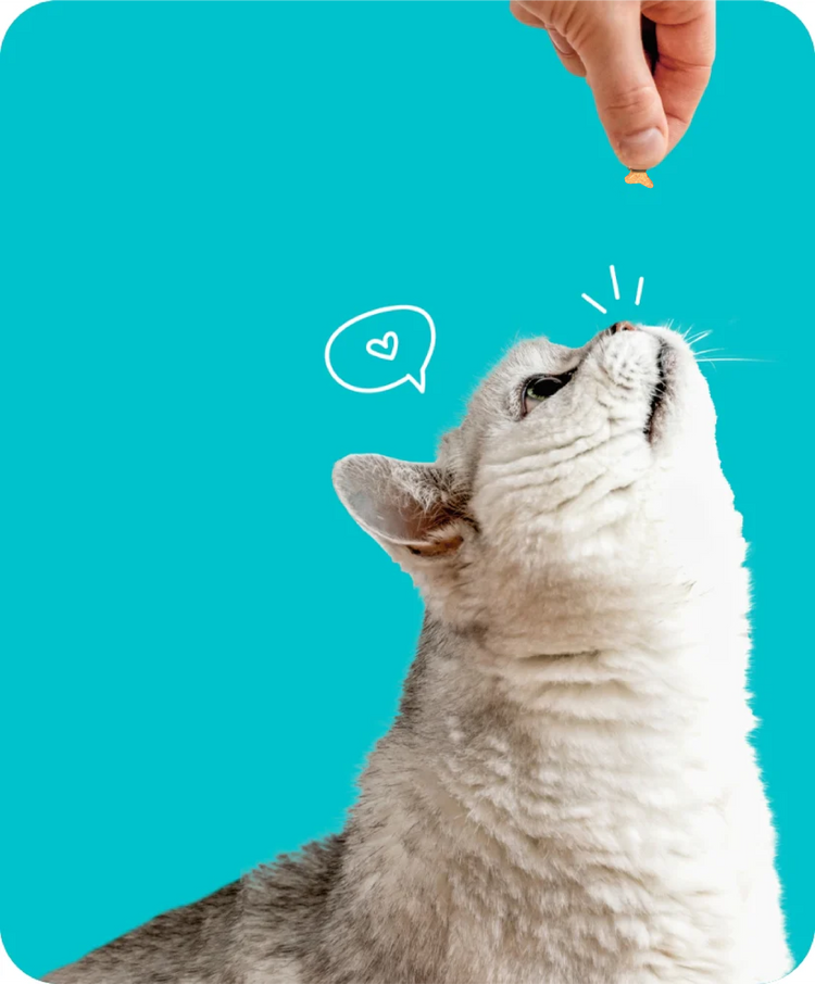 Tartar Shield | Cleaner, Healthier Teeth for Healthier, Happier Pets ...