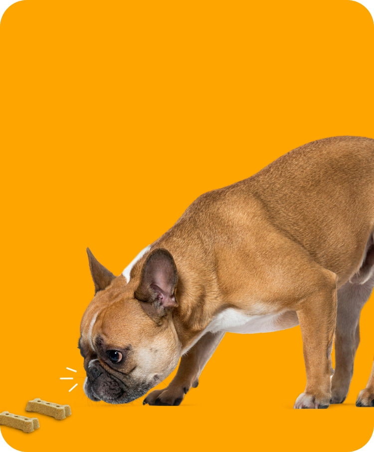 Tartar Shield | Cleaner, Healthier Teeth for Healthier, Happier Pets ...