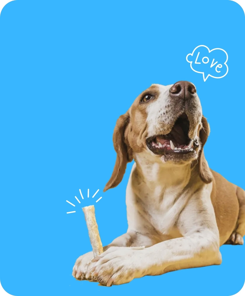 Tartar Shield | Cleaner, Healthier Teeth for Healthier, Happier Pets ...